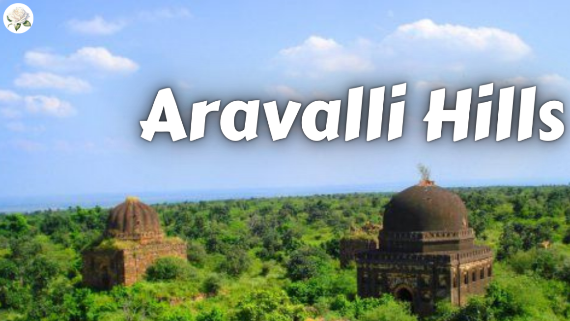 Best Time to Visit Aravalli Hills: Seasons, Weather and Tips