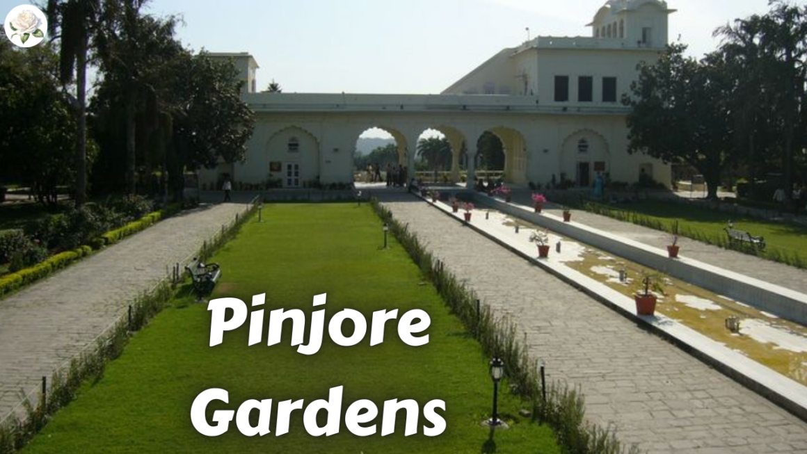 Where is Pinjore Garden? A Complete Guide